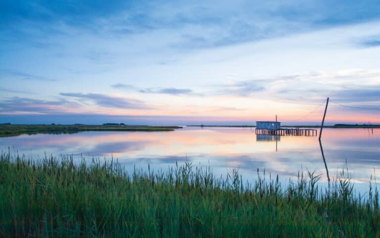 Media Kit - UMCES 100